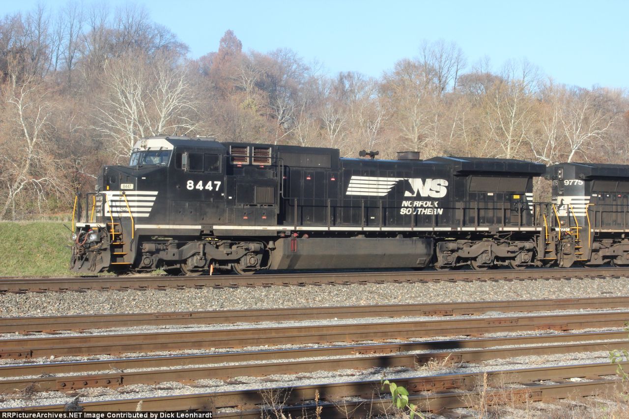 NS 8447